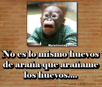 El humor no descansa: Frases de amor grosero.